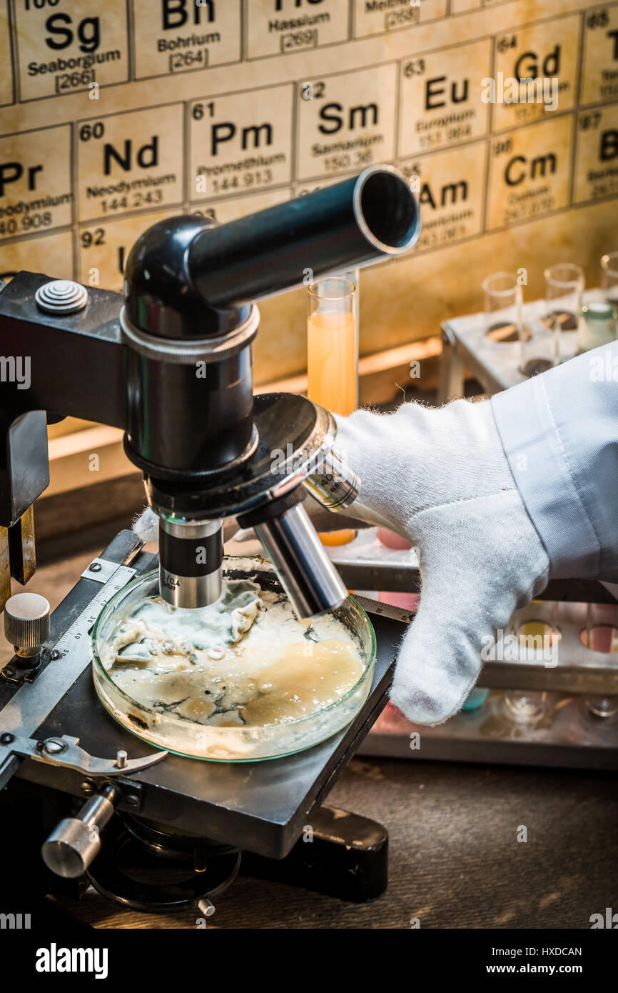 Chemical laboratory during the mold test Stock Photo - Alamy