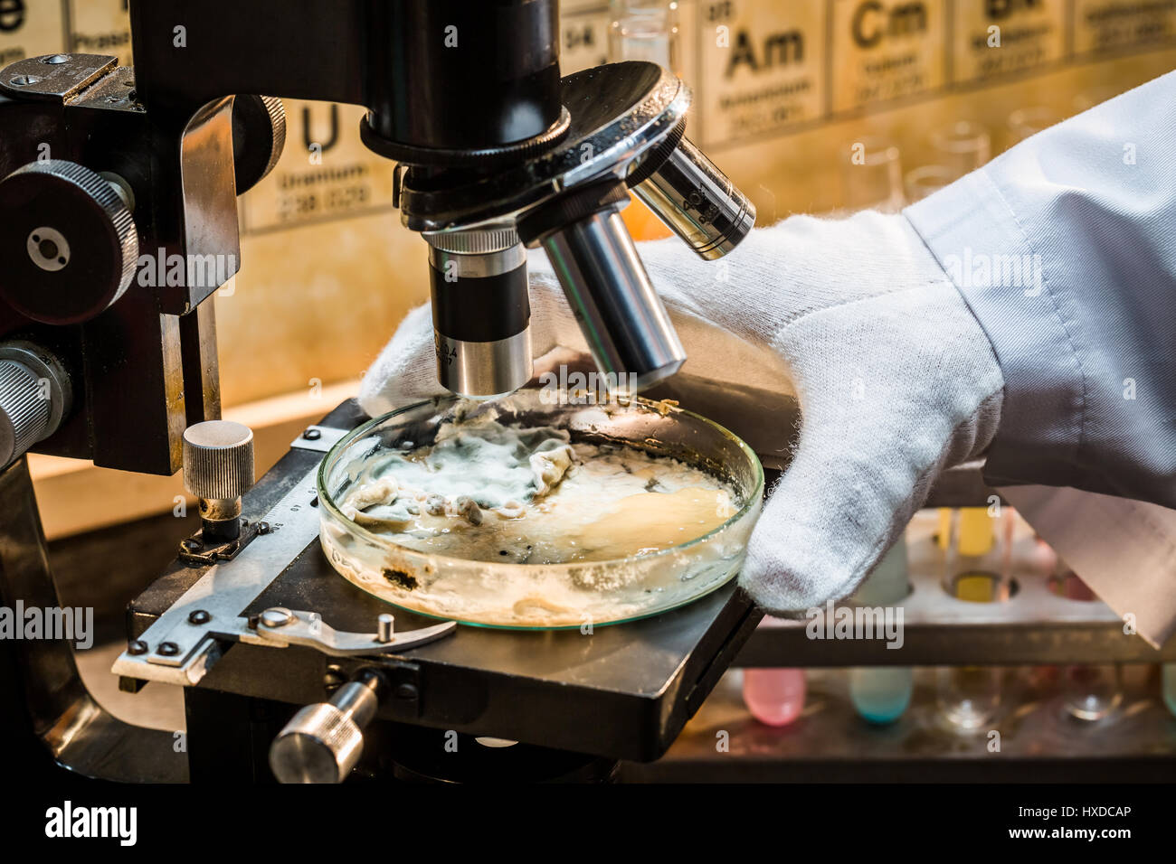 Academic laboratory with microscope and sample Stock Photo - Alamy