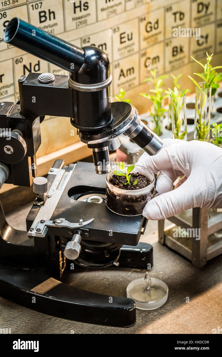 Growing plants lab hi-res stock photography and images - Alamy