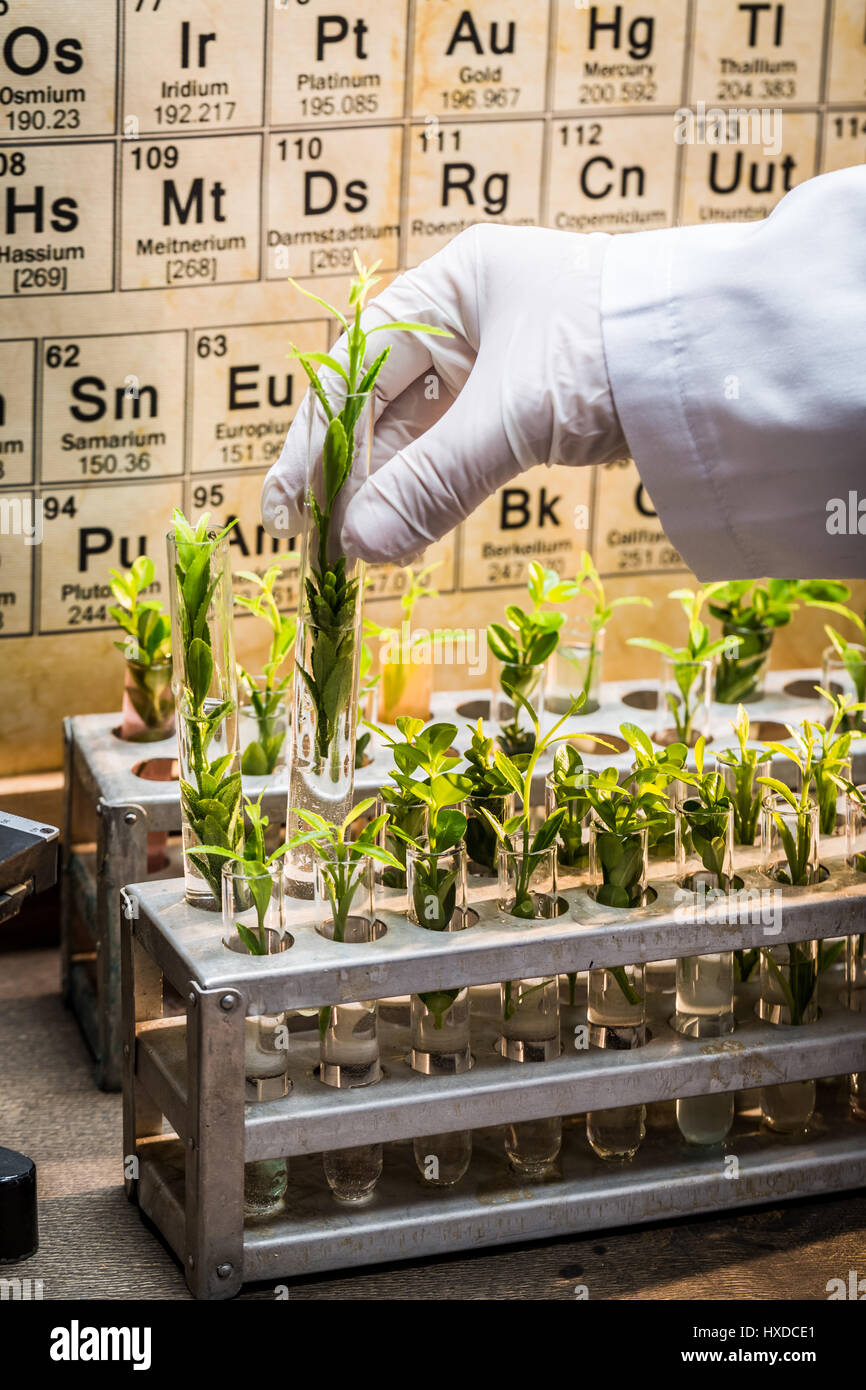 Pharmaceutical laboratory during test the pesticides Stock Photo - Alamy