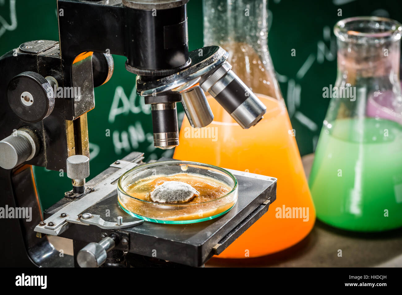 Checking the growth of molds on the various components in the ...