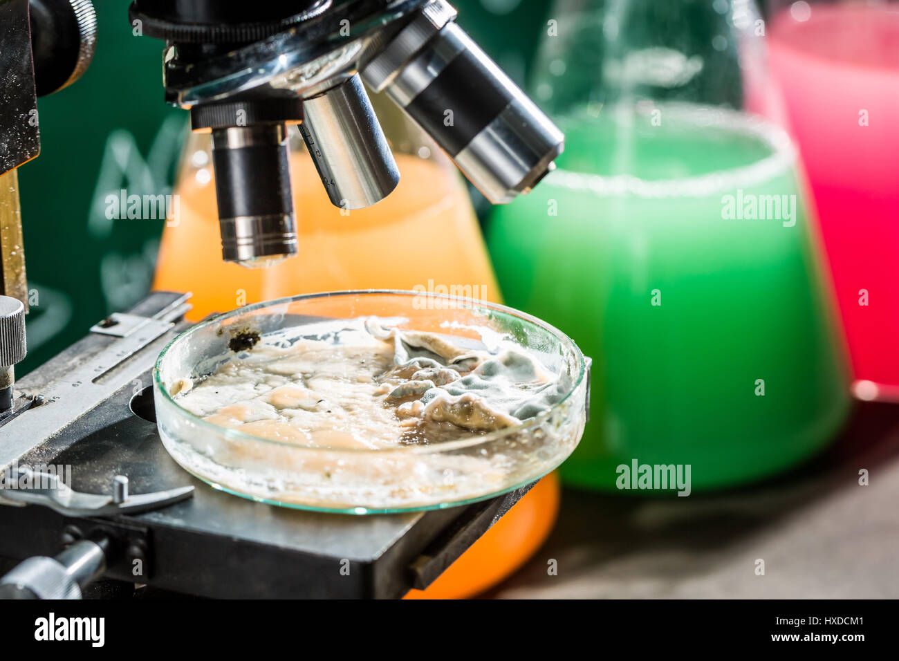 Test mold of the various reagents in the laboratory Stock Photo - Alamy
