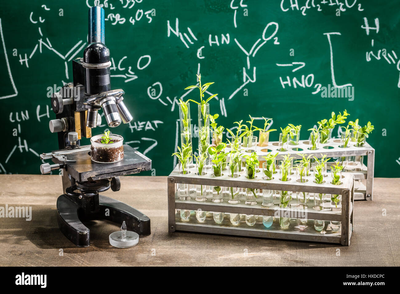 Academic laboratory during study growing plants Stock Photo - Alamy