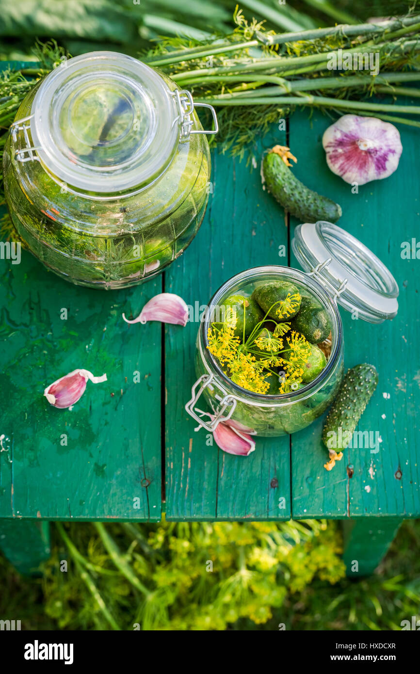 Closeup of preparation for homemade gherkins Stock Photo - Alamy