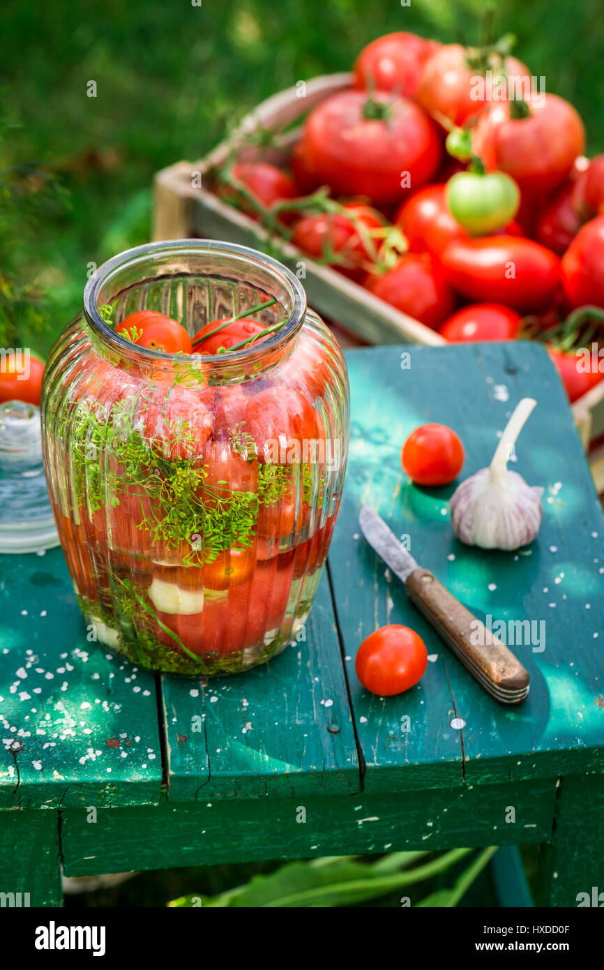 During pickling tomatoes with homemade ingredients Stock Photo - Alamy