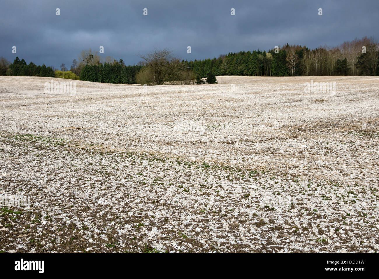 Paper and pulp hi-res stock photography and images - Alamy