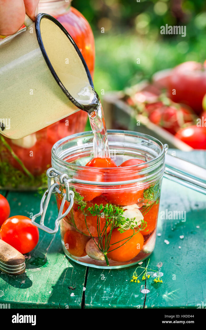 During pickling tomatoes in the countryside Stock Photo - Alamy