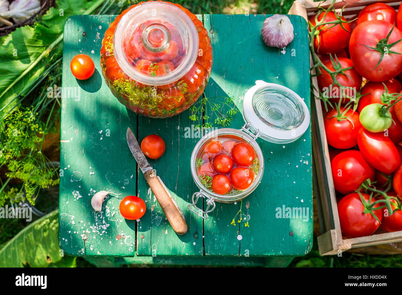 Table full of ingredients for pickling tomatoes Stock Photo - Alamy