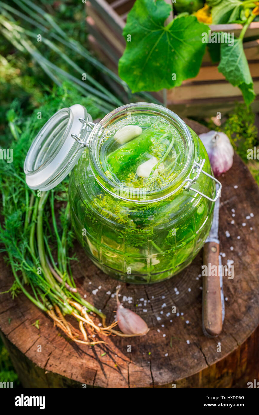 Freshly prepared jar of gherkins Stock Photo - Alamy