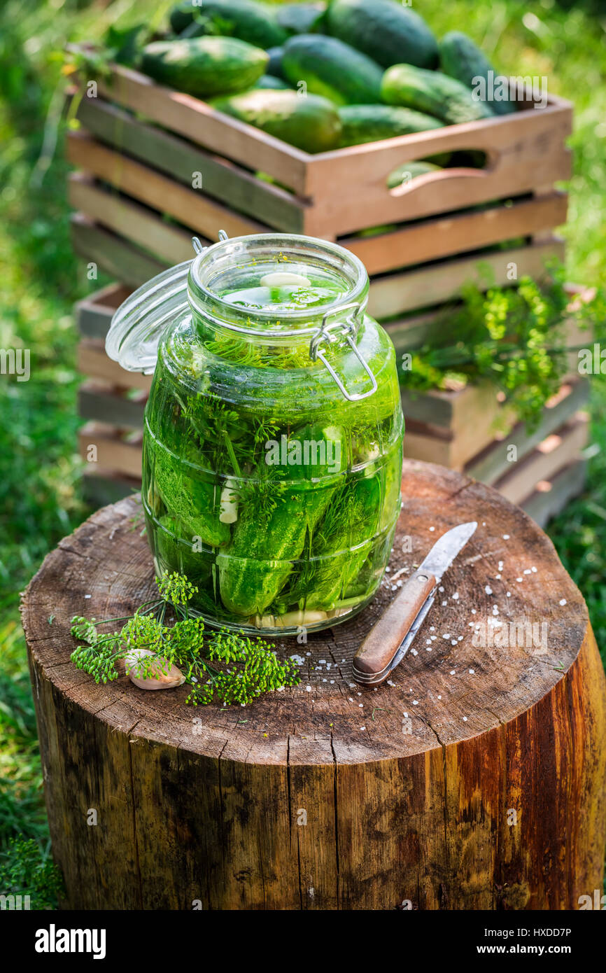 Pickling of cucumbers hi-res stock photography and images - Alamy