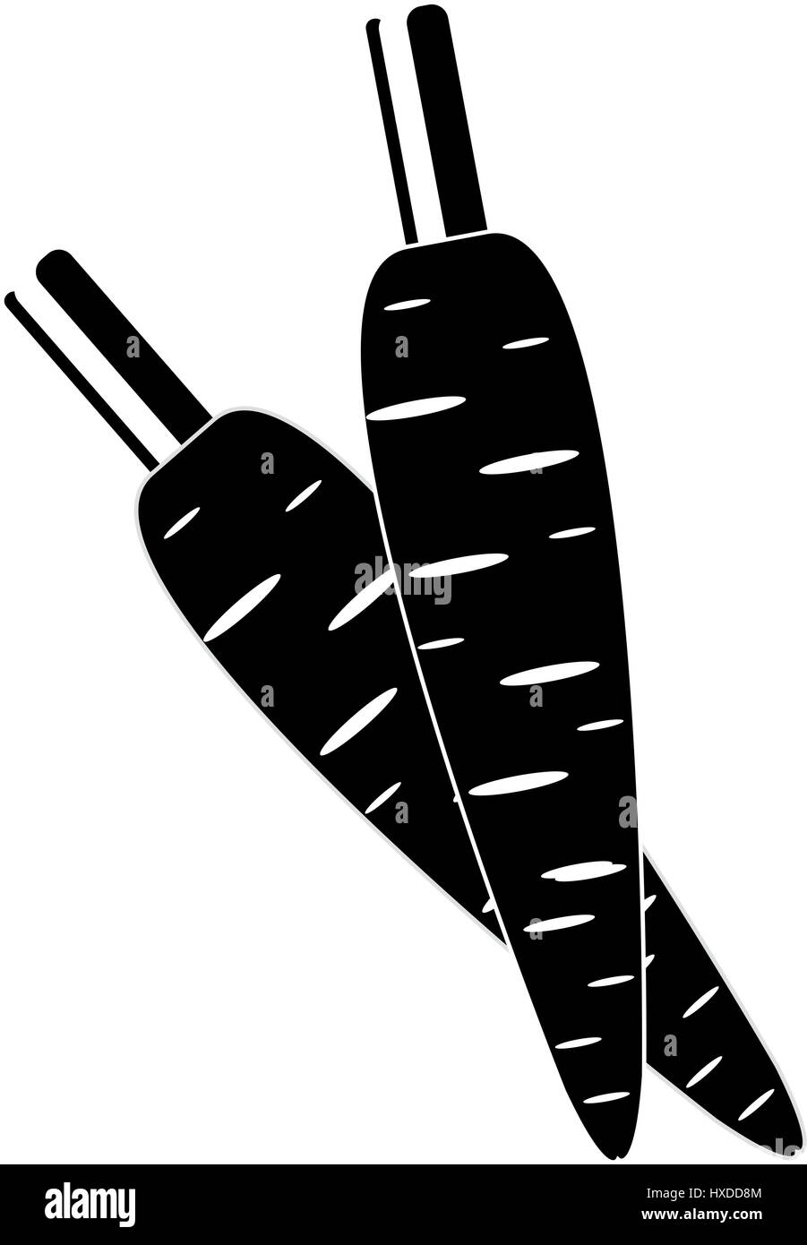 Vector flat cartoon style icon of two carrots with stems. Black and ...