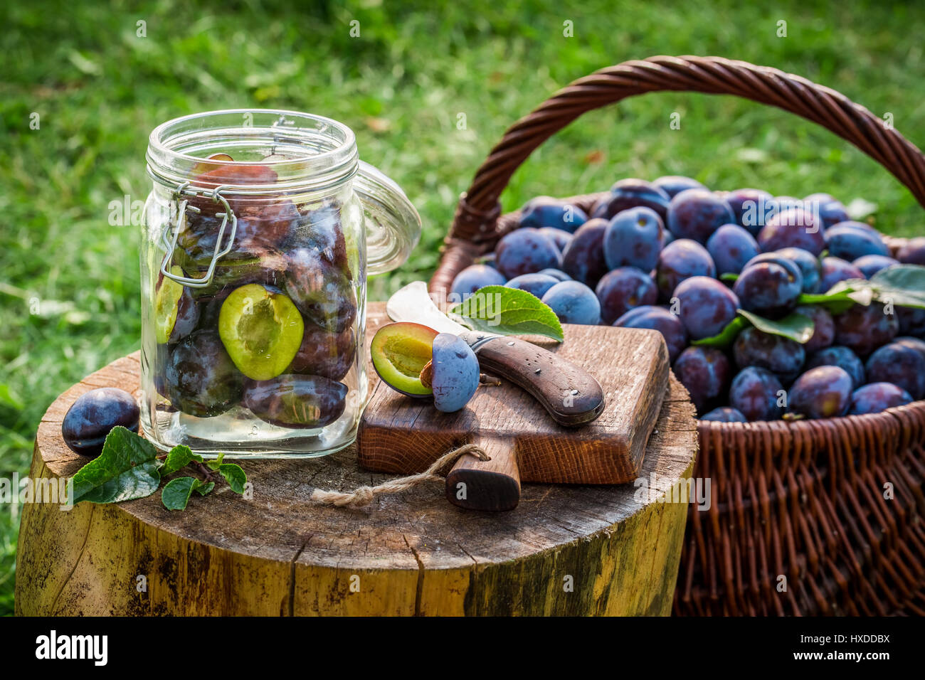 Homemade preserving plums with sugar Stock Photo - Alamy