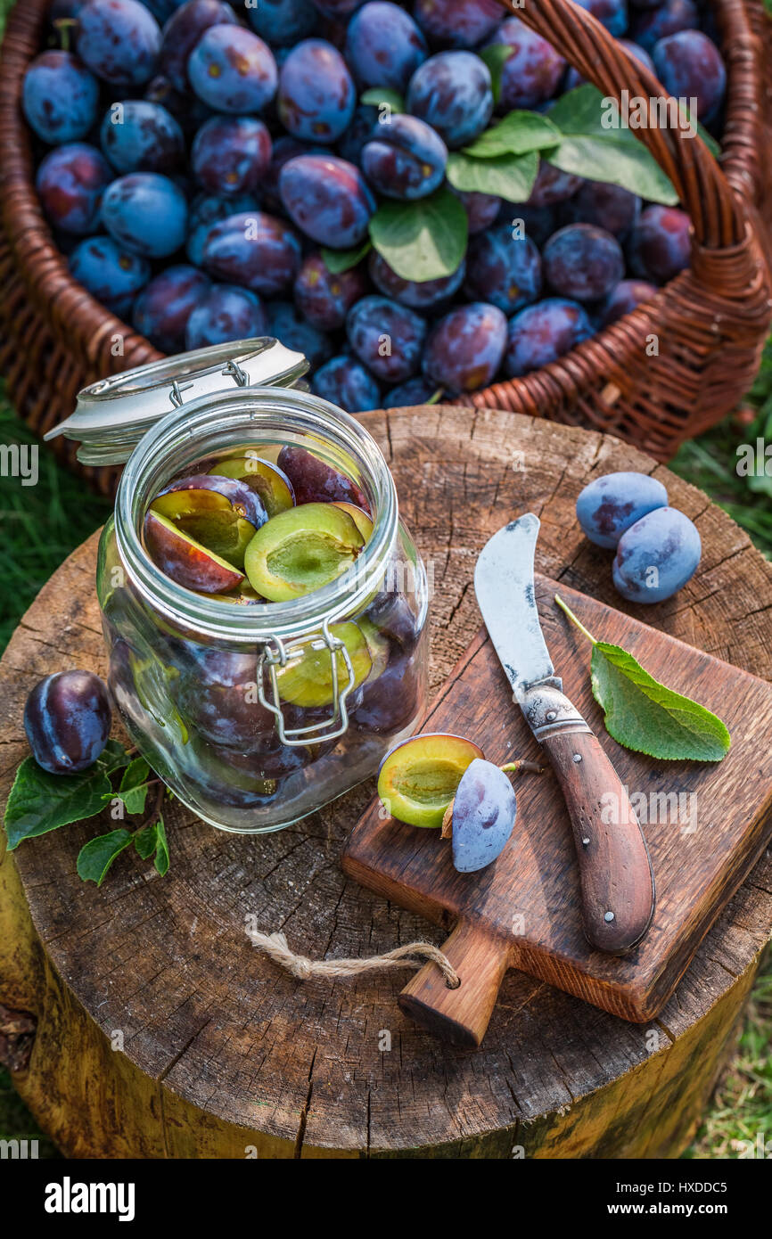 Preparations for preserving plums Stock Photo - Alamy