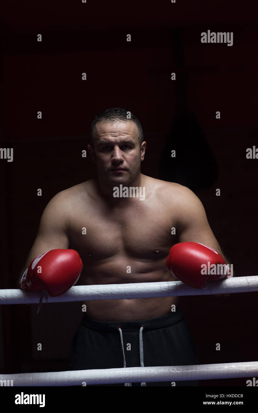 portrait of muscular professional kickboxer who standing in the ring ...