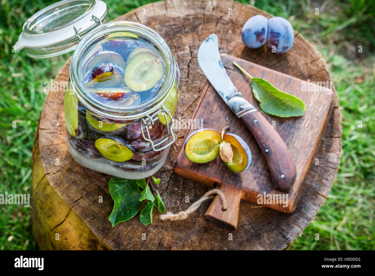 Freshly prepared jar with plum for compote Stock Photo - Alamy