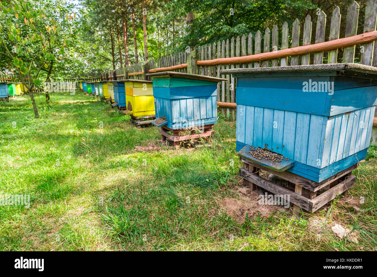 Natural beehives in countryside Stock Photo - Alamy