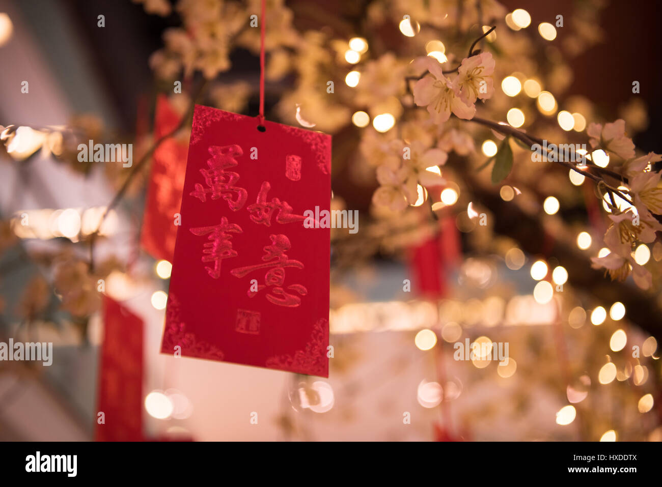 red cards with messages on the traditional Japanese wishing tree Stock ...