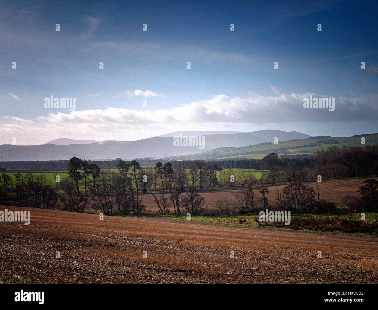 Cheviot hills hi-res stock photography and images - Alamy