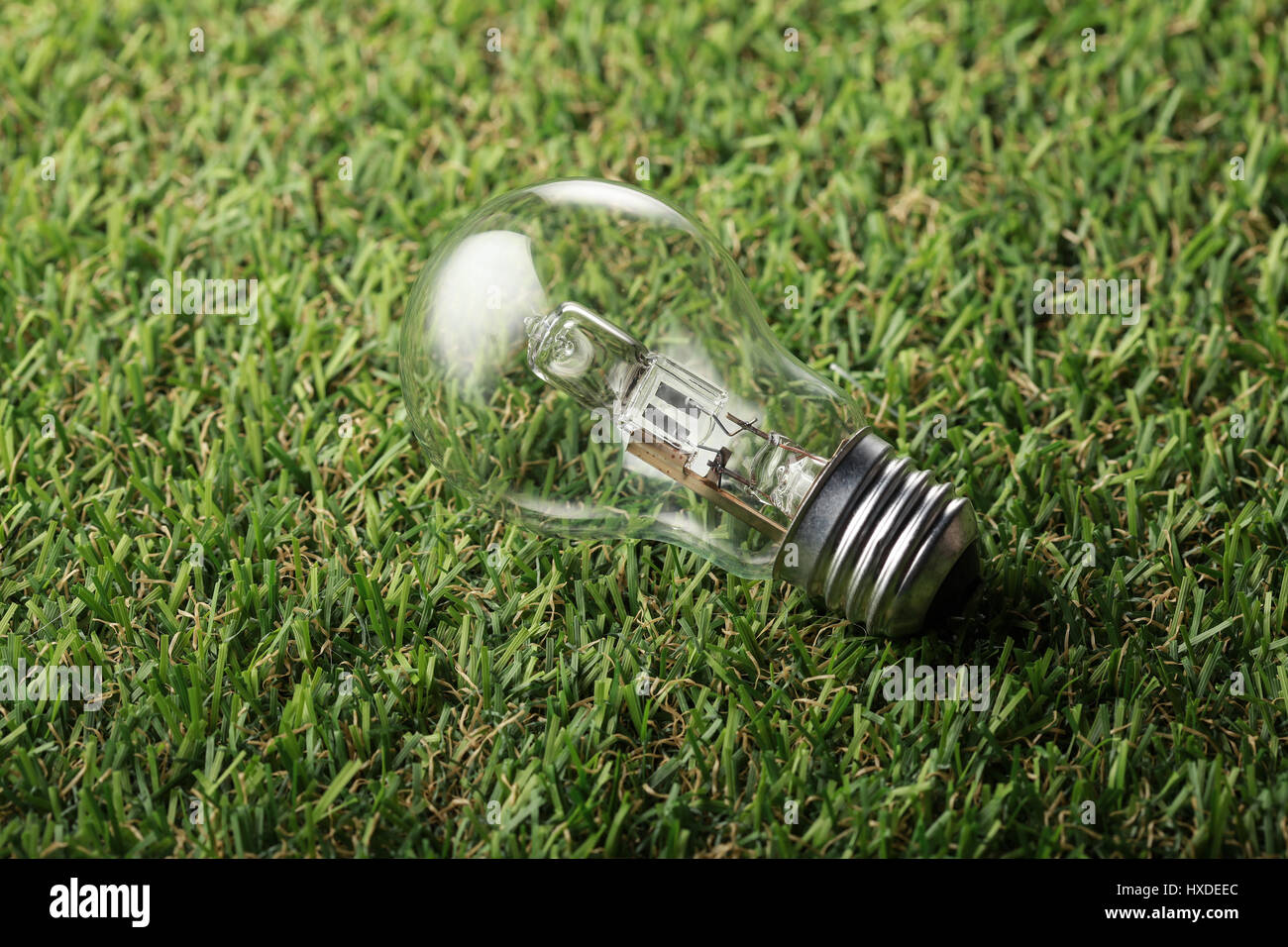 light bulb on green grass Stock Photo - Alamy