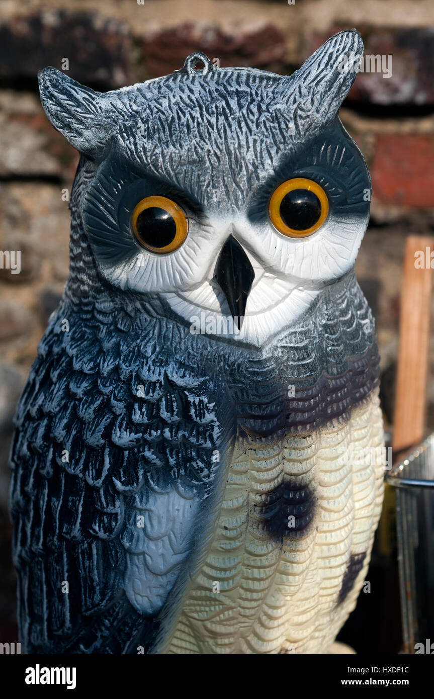 A plastic garden ornamental owl Stock Photo - Alamy