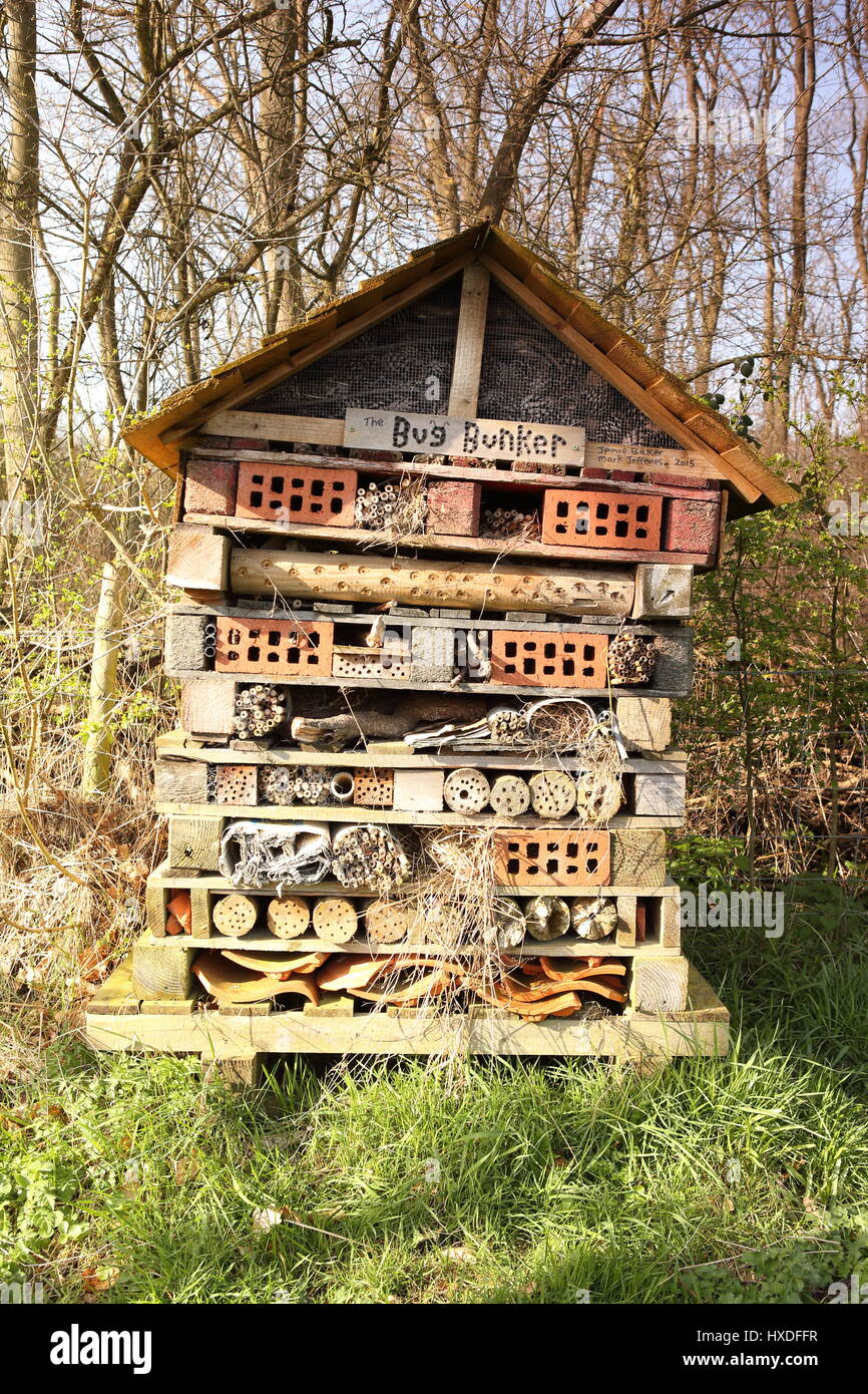 Bug house hi-res stock photography and images - Alamy
