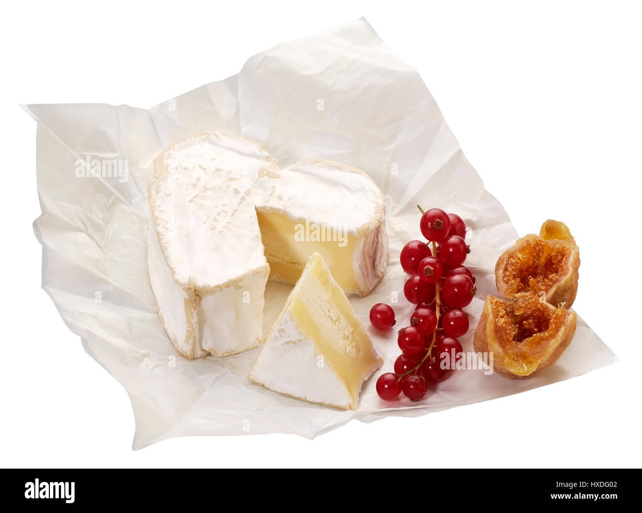 Fungal culture hi-res stock photography and images - Alamy