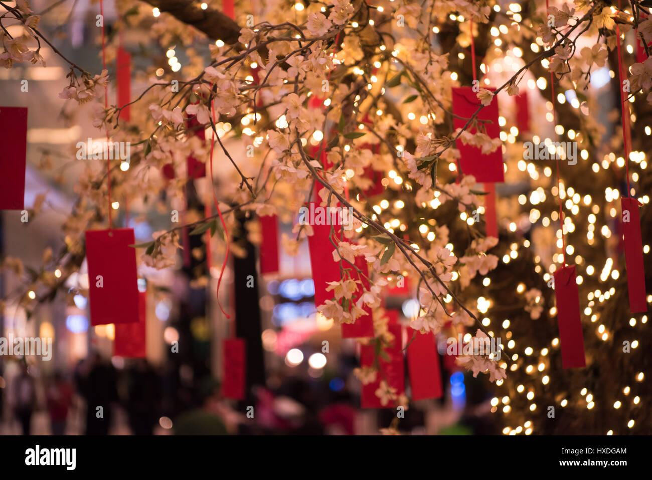 red cards with messages on the traditional Japanese wishing tree Stock ...