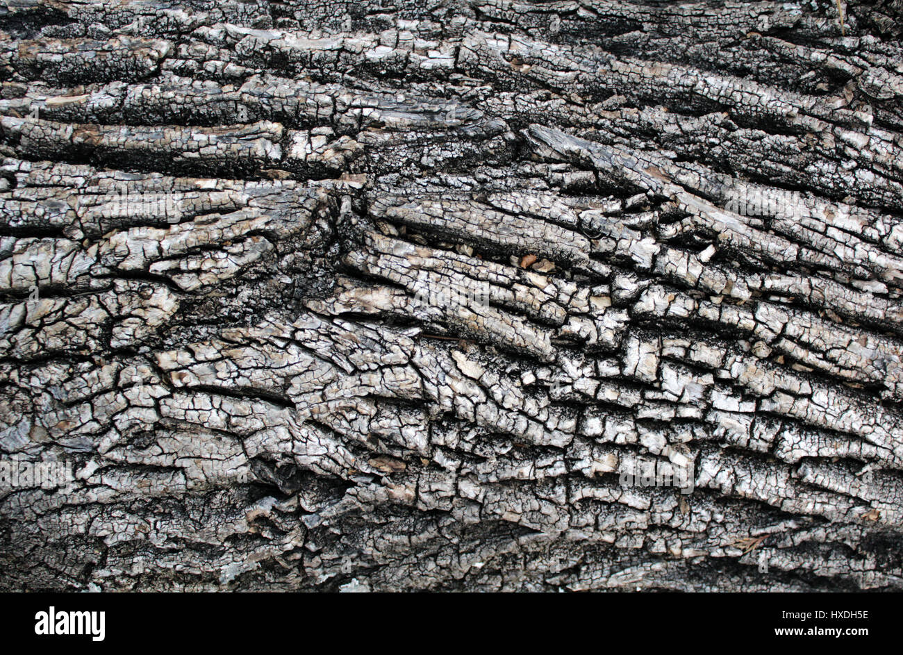 Grain macro hi-res stock photography and images - Alamy