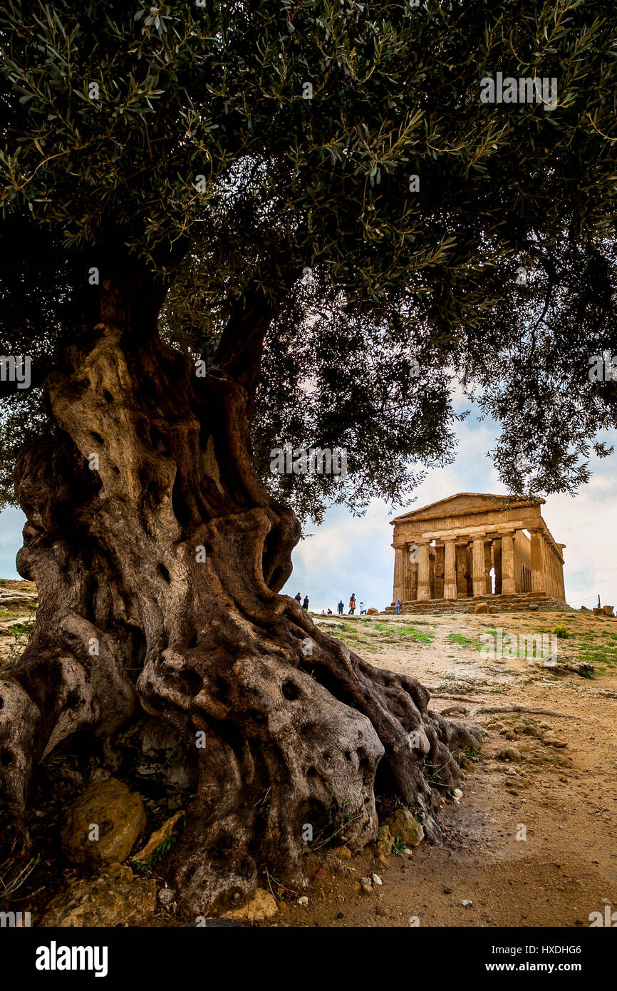 Agrigento, Italy - October 15, 2009: Temple of Concordia ancient Greek ...