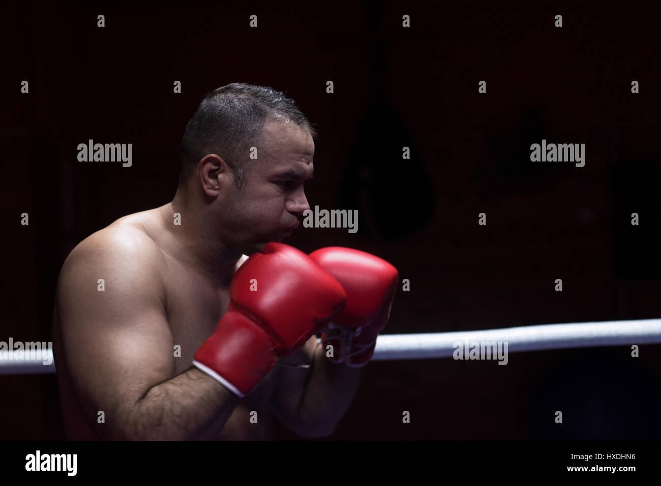 professional kickboxer with hands in martial arts position training for ...