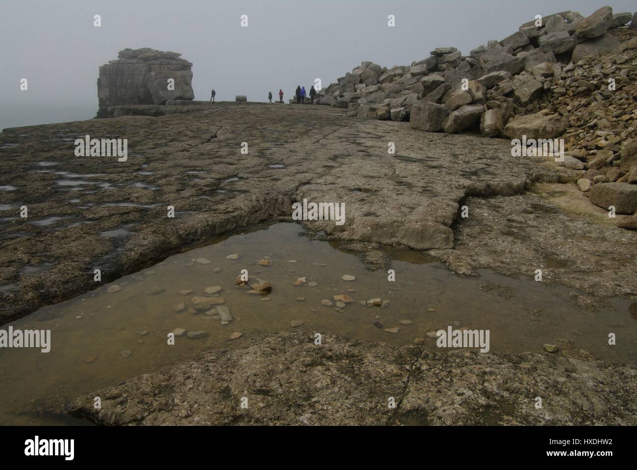 Pulpitt Rock, Portland Bill, Dorset, UK Stock Photo - Alamy