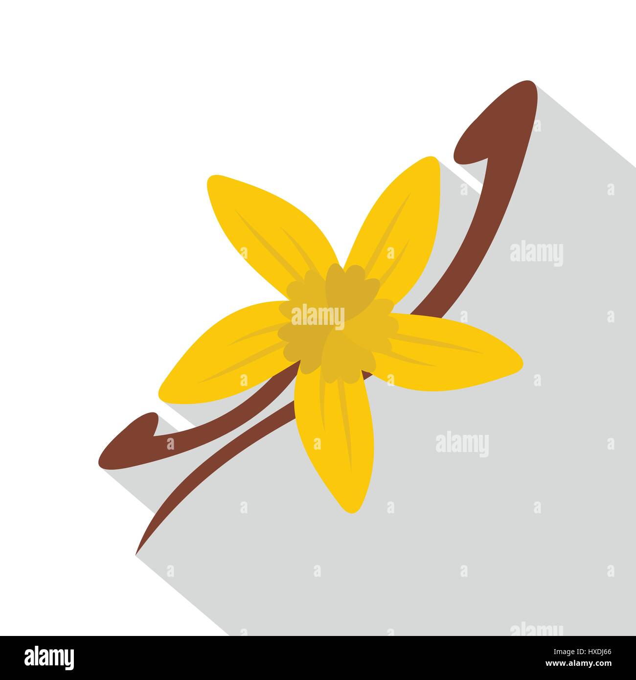 Vanilla pods and flower icon, flat style Stock Vector Image & Art - Alamy