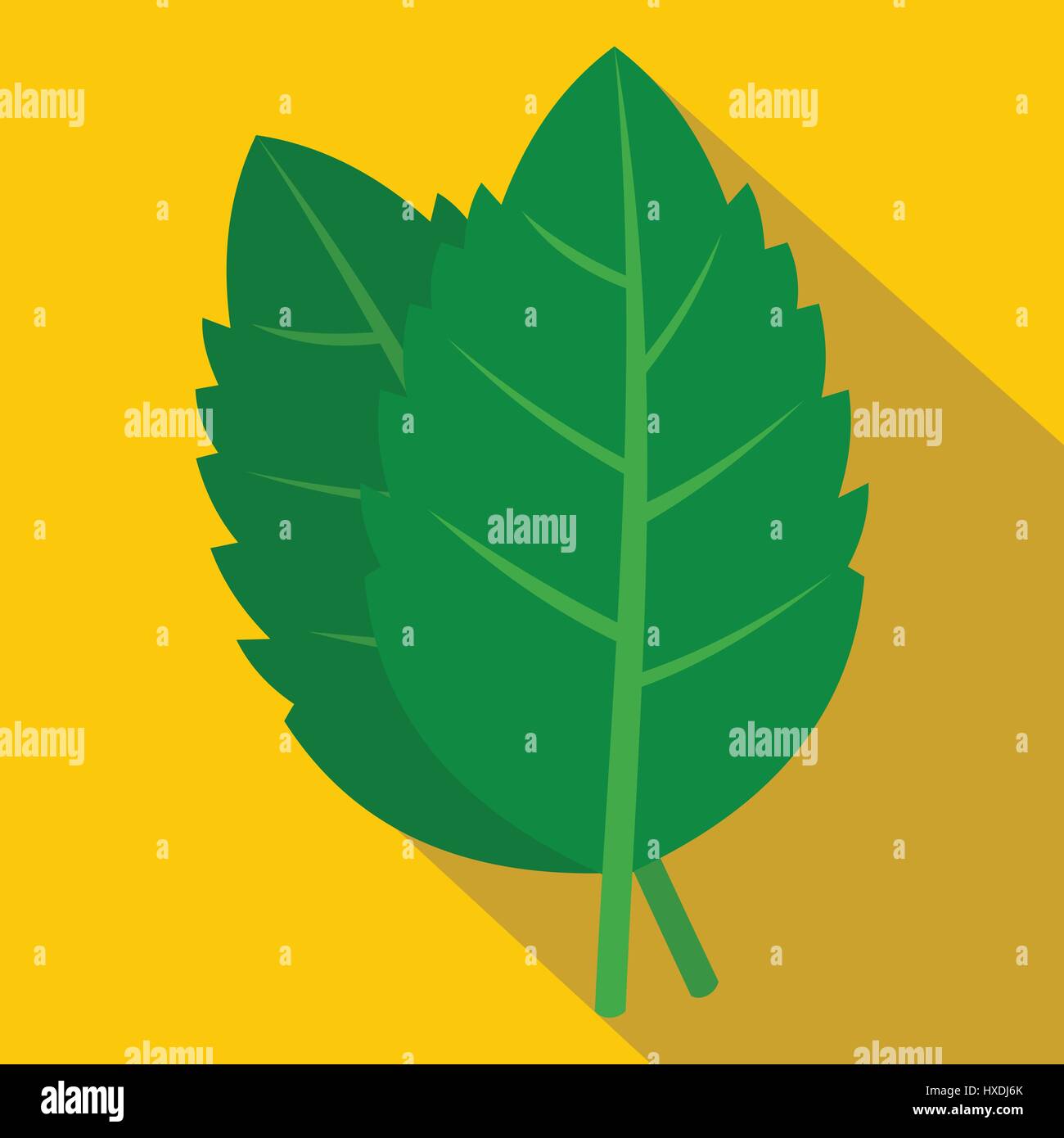 Fresh green basil leaves icon, flat style Stock Vector Image & Art - Alamy