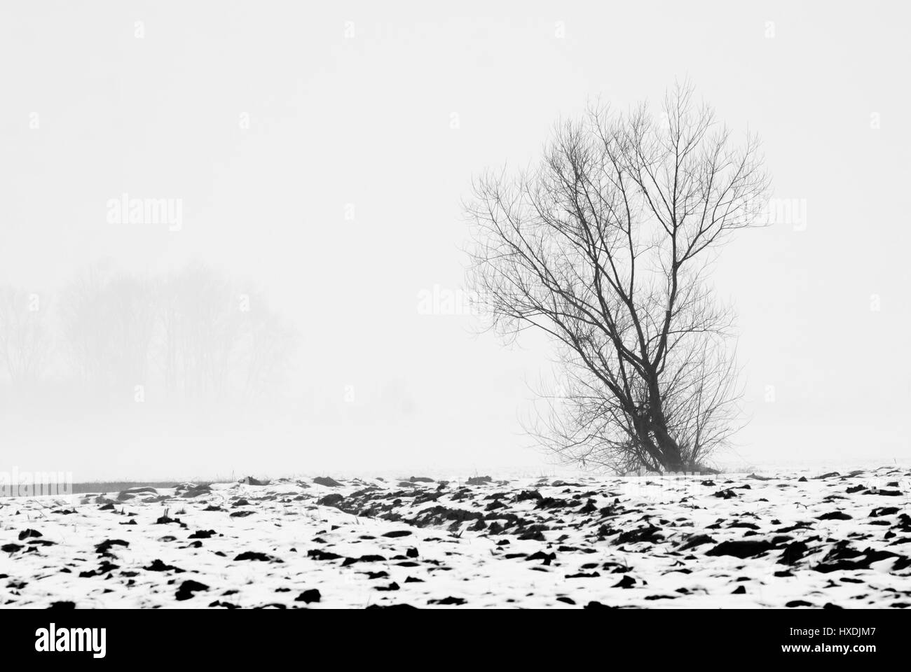 Hard snow Black and White Stock Photos & Images - Alamy