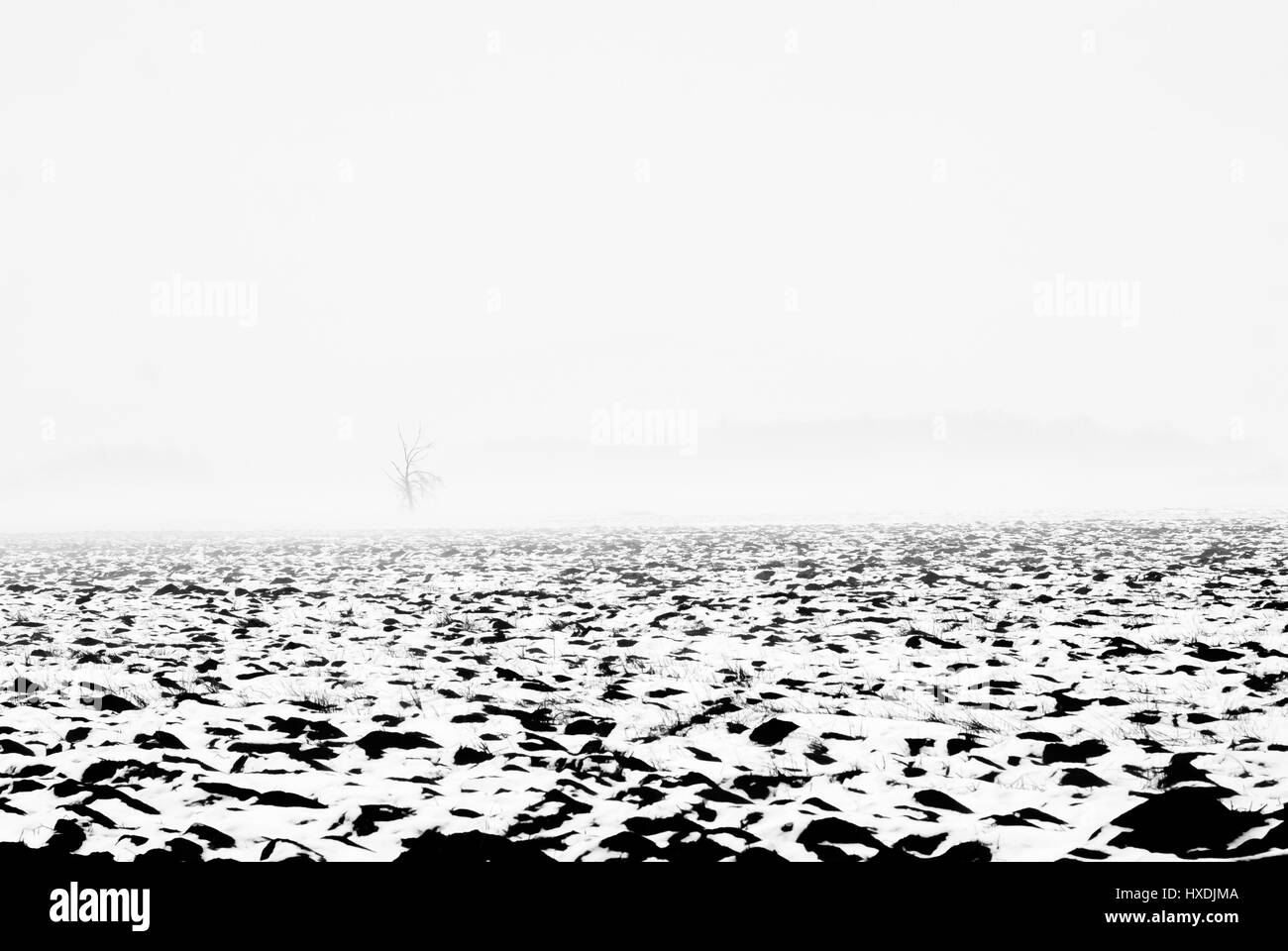 Soil Black and White Stock Photos & Images - Alamy