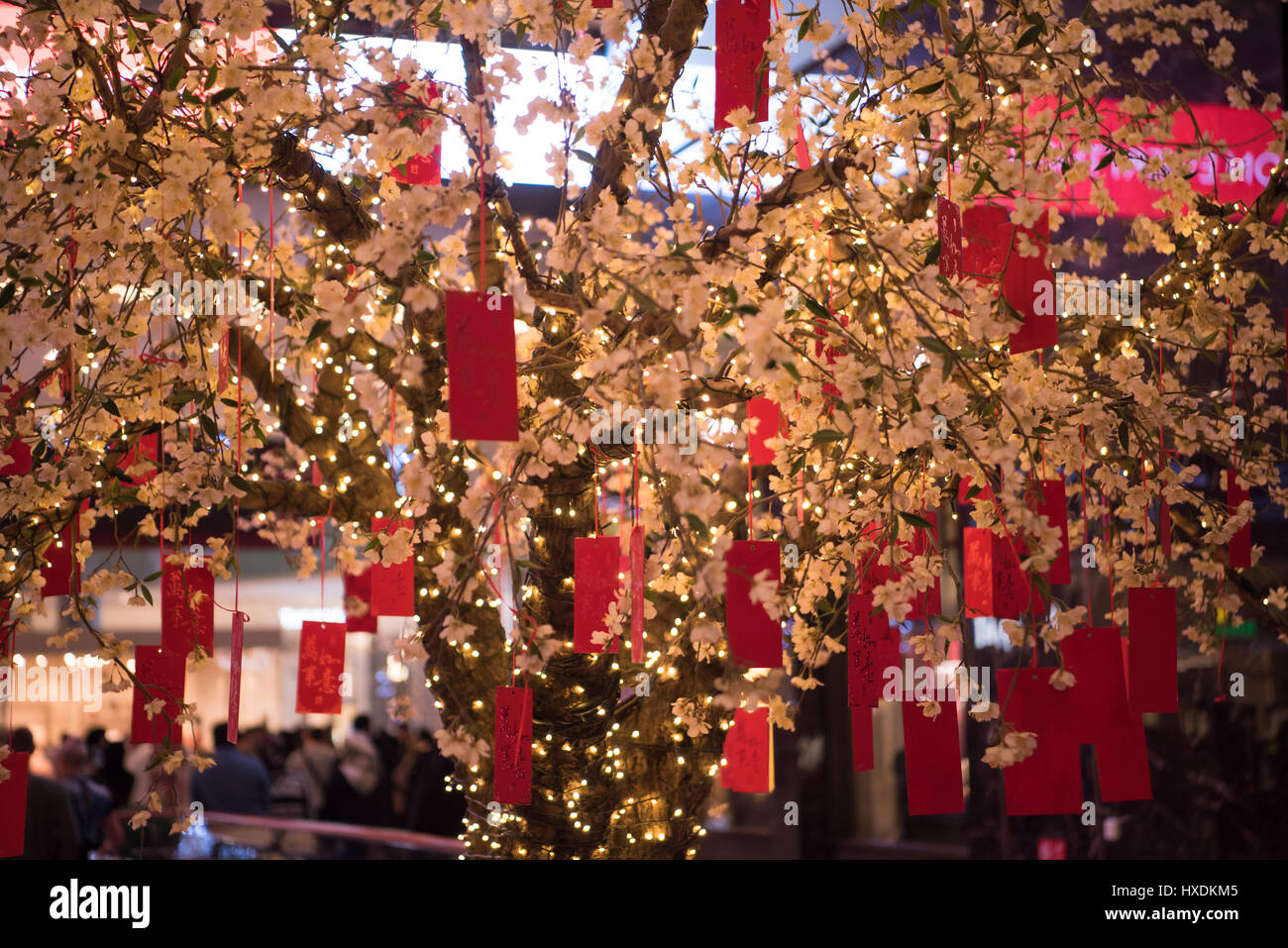 red cards with messages on the traditional Japanese wishing tree Stock ...
