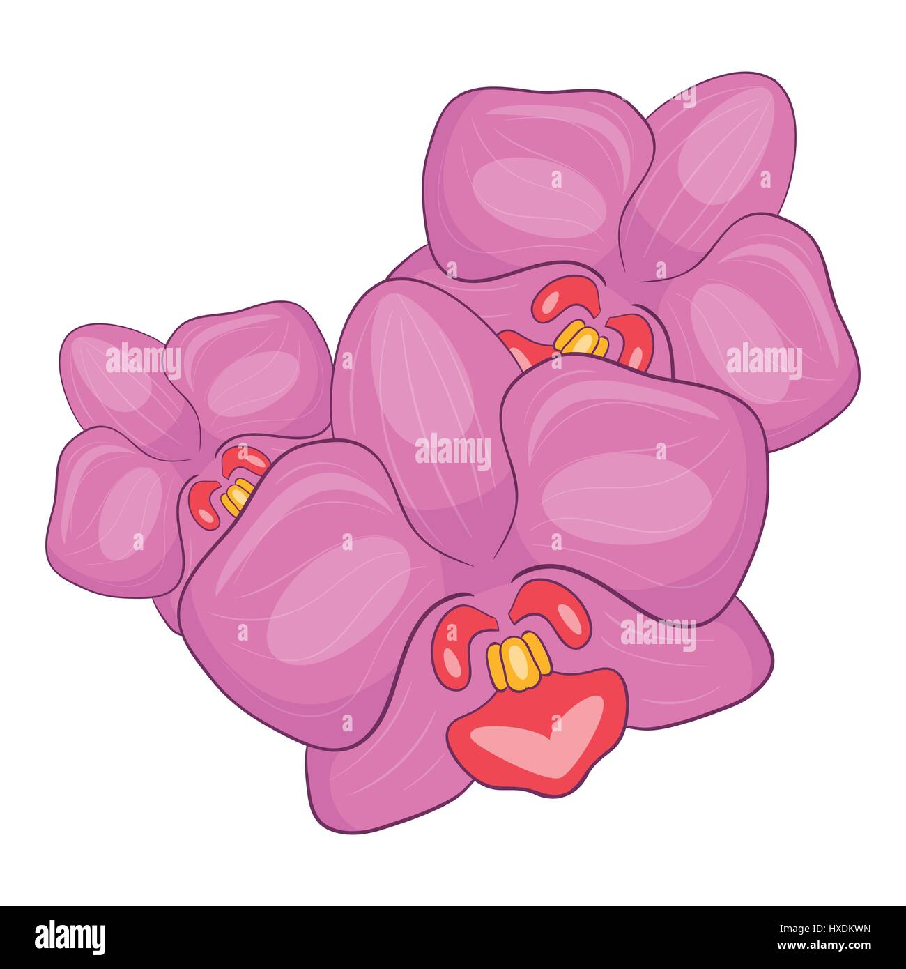 Orchid icon, cartoon style Stock Vector Image & Art - Alamy
