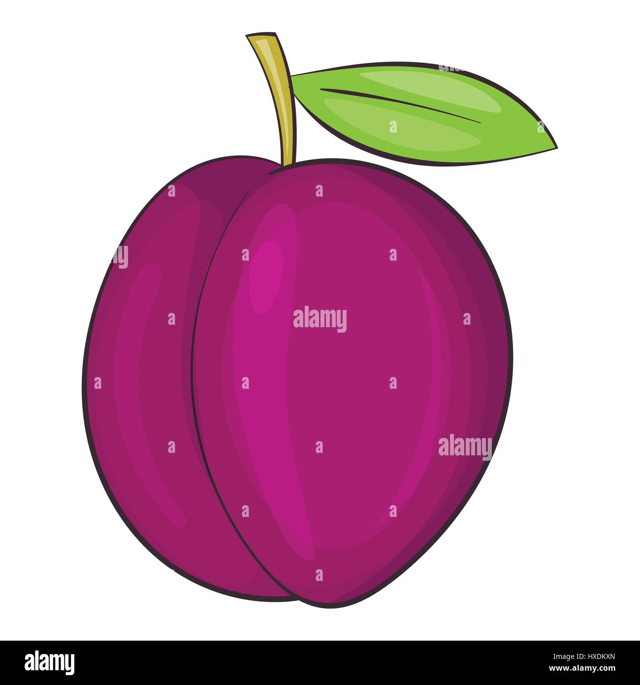 Purple leaf plum tree Stock Vector Images - Alamy