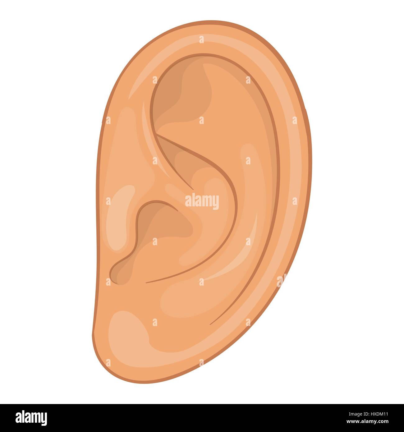 Ear icon, cartoon style Stock Vector Image & Art - Alamy Ear icon, cartoon style Stock Vector Image & Art - Alamy