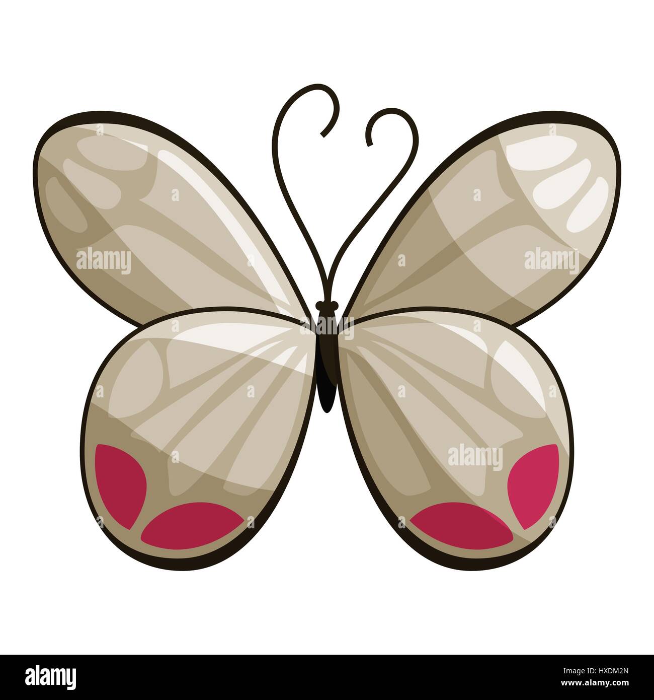 White butterfly icon, cartoon style Stock Vector Image & Art - Alamy
