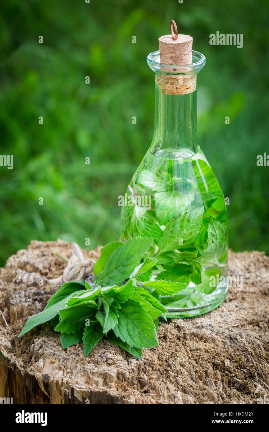 Peppermint liqueur hi-res stock photography and images - Alamy