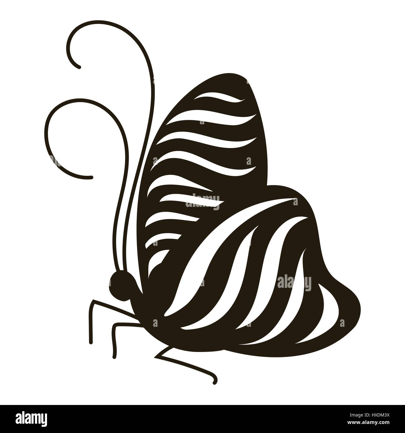 Stripped butterfly icon, simple style Stock Vector Image & Art - Alamy