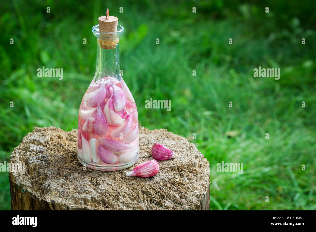 Natural and homemade liqueur with garlic and alcohol Stock Photo - Alamy