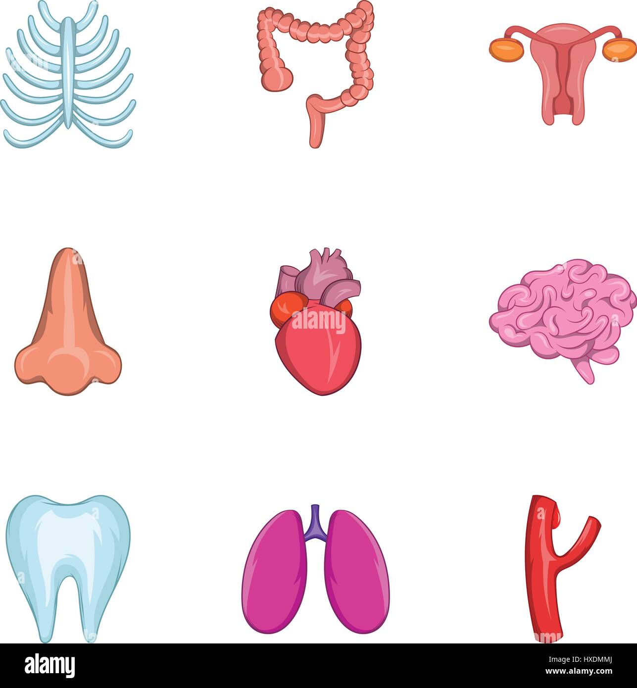 Bodies icons set, cartoon style Stock Vector Image & Art - Alamy Bodies icons set, cartoon style Stock Vector Image & Art - Alamy