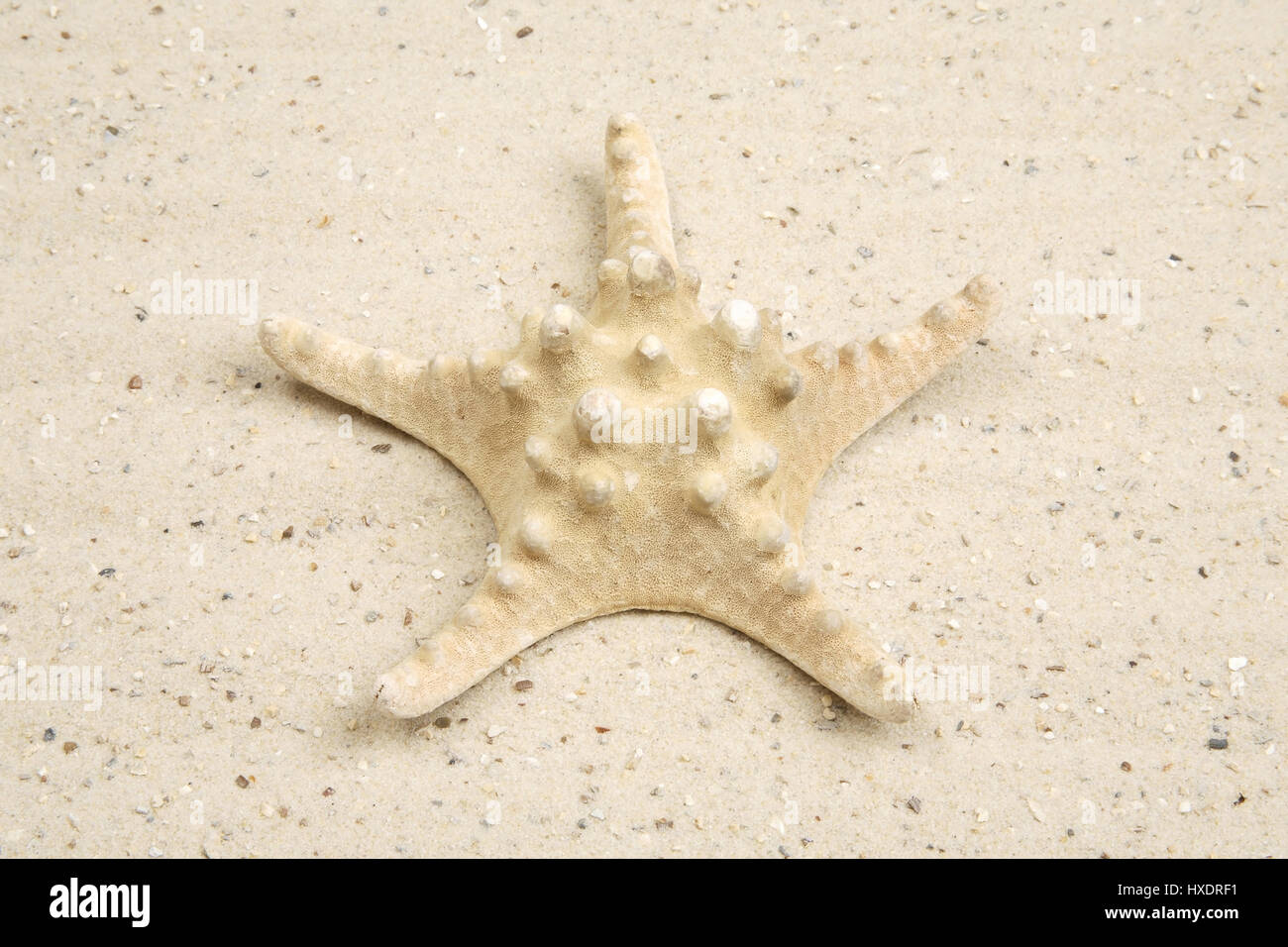 Seesterne symbol hi-res stock photography and images - Alamy