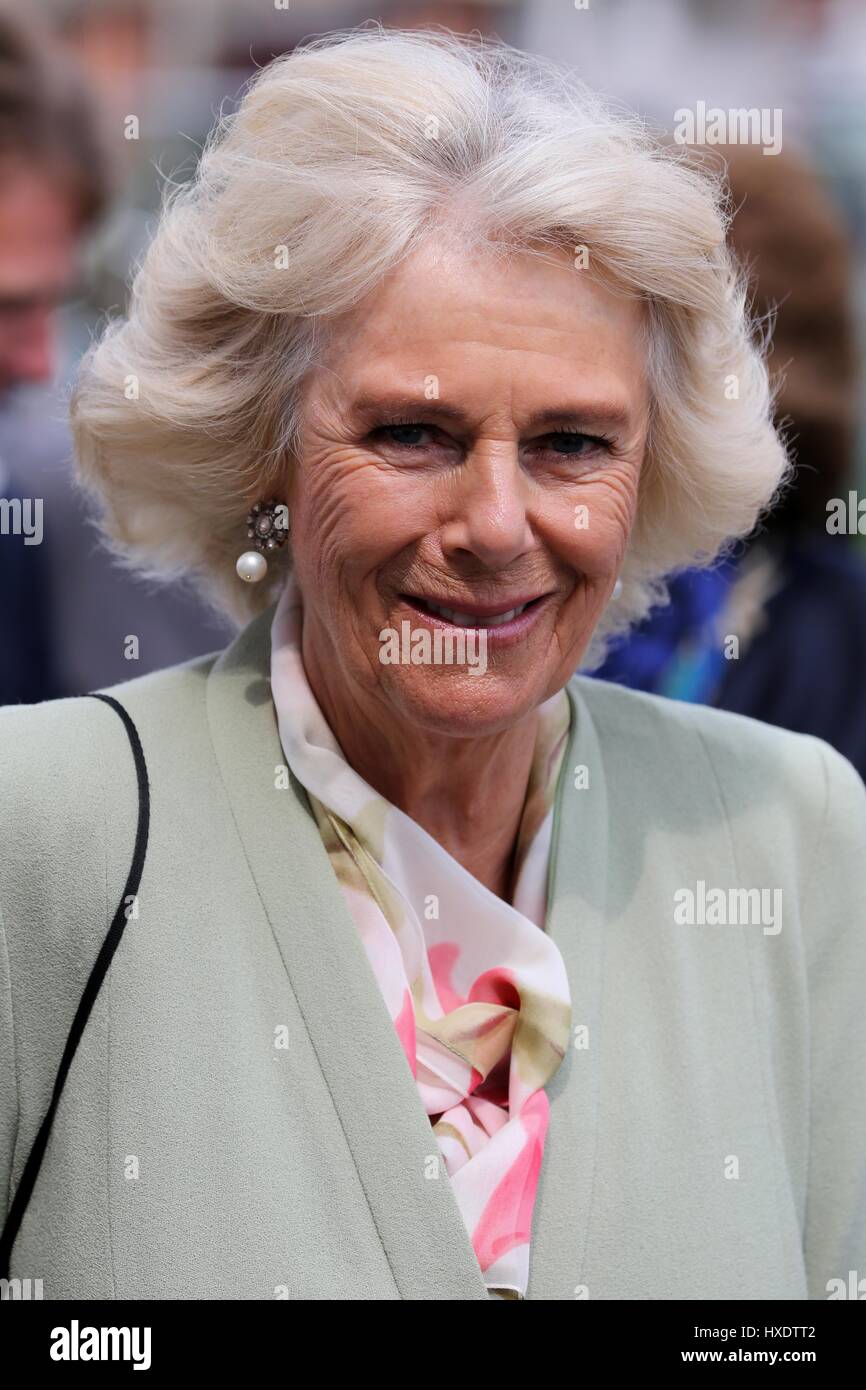 Camilla duchess of cornwall portrait hi-res stock photography and ...