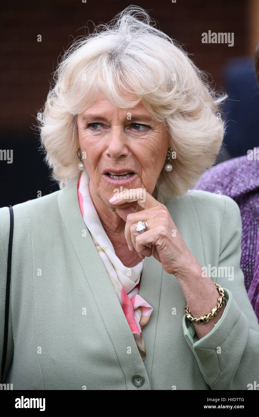Camilla duchess of cornwall portrait hi-res stock photography and ...