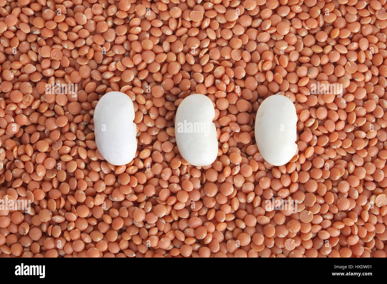 Lenses and reams beans, Linsen und Riesen Bohnen Stock Photo - Alamy