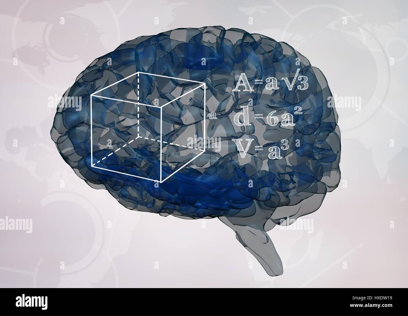 Map brain cut hi-res stock photography and images - Alamy