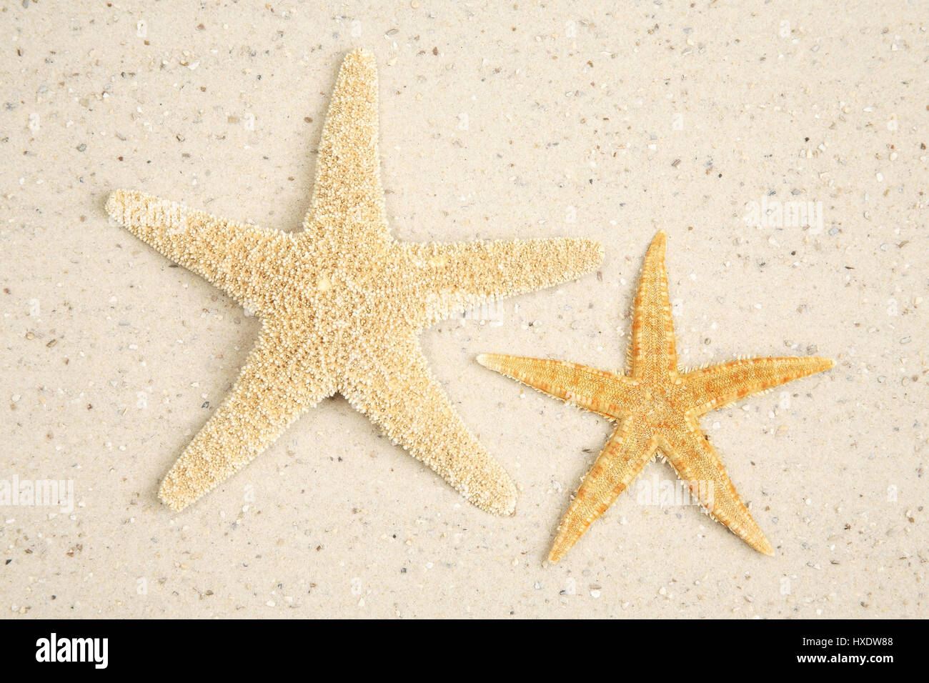 Seesterne symbol hi-res stock photography and images - Alamy